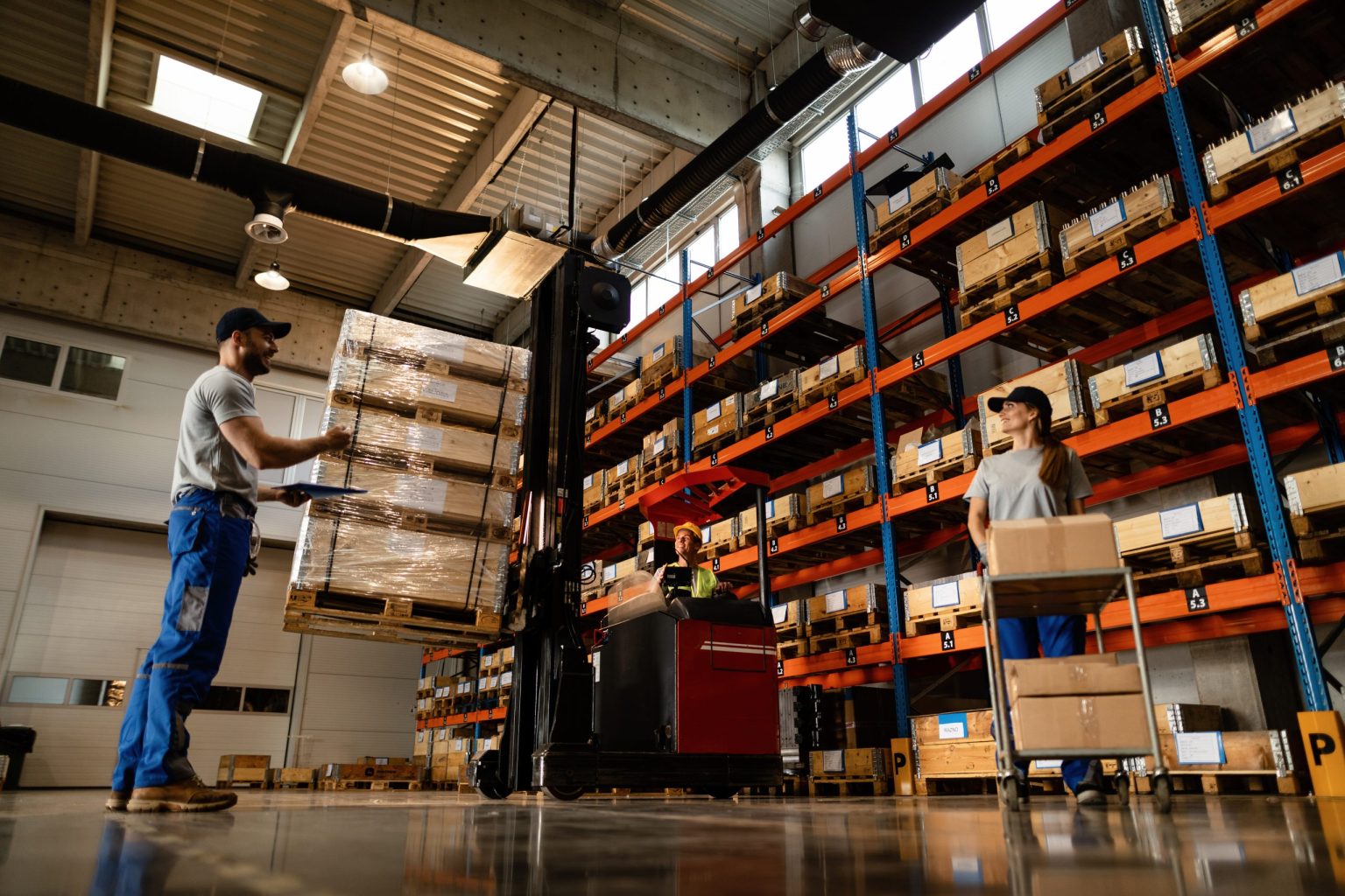 The Ultimate Guide to Storage Solutions Why Singapore Storage Rack ...
